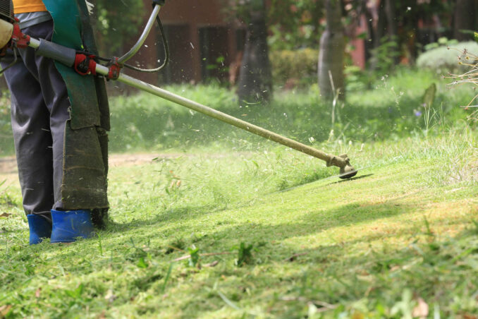 6 Best Ground Maintenance Tools in 2024 - Haaretz daily - Info & News ...