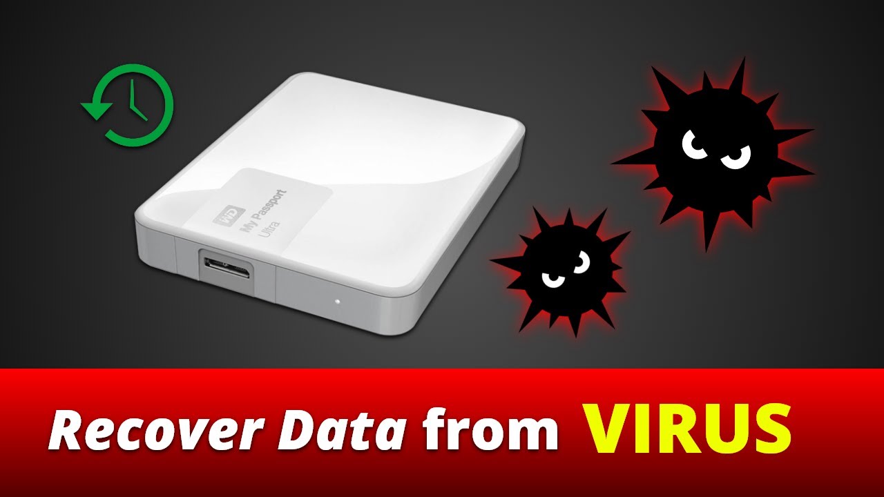 How to Perform File Recovery From Virus Infected Hard Drive: 5 Steps to ...